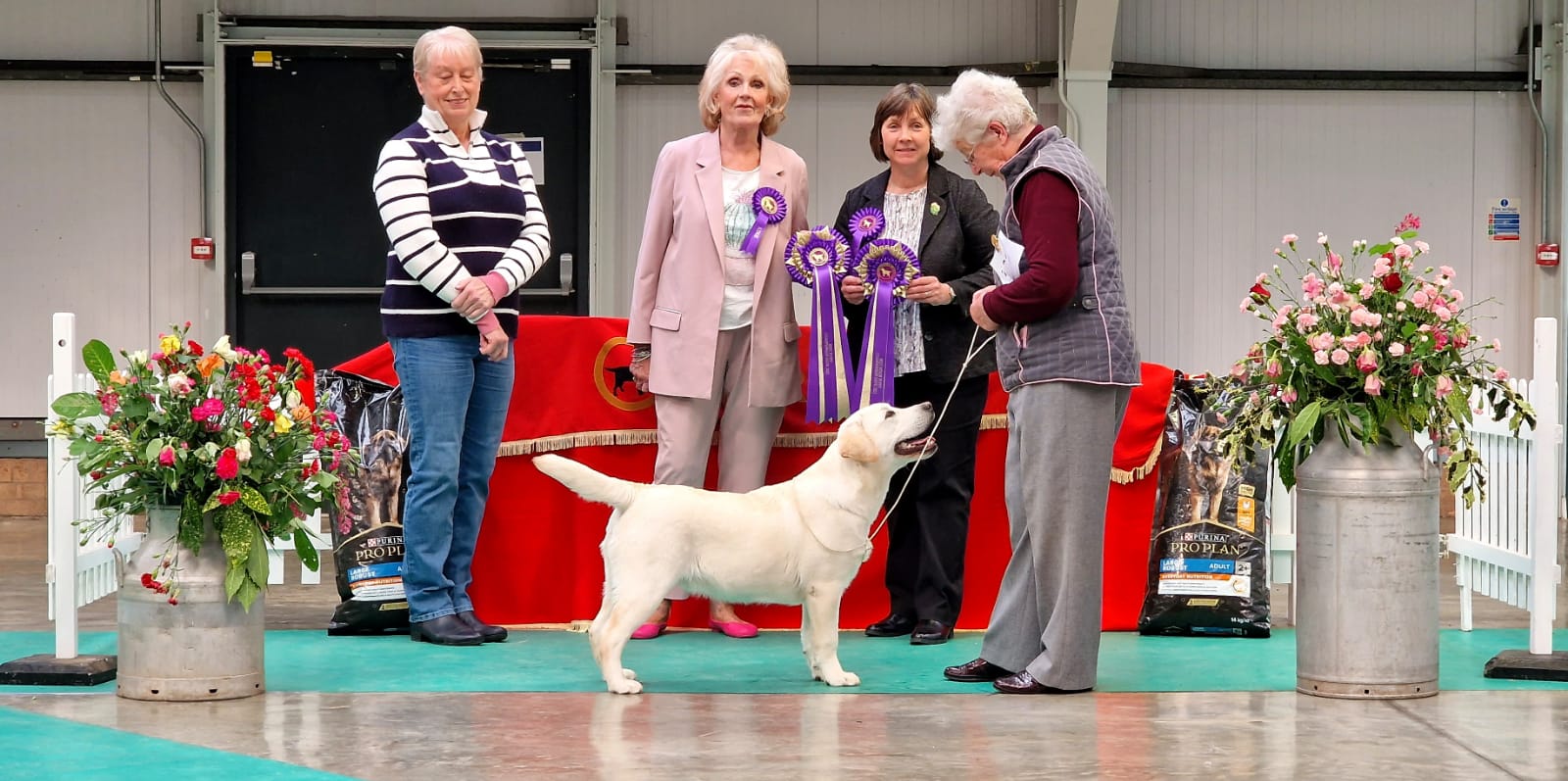 Welcome to the World Famous Labradors