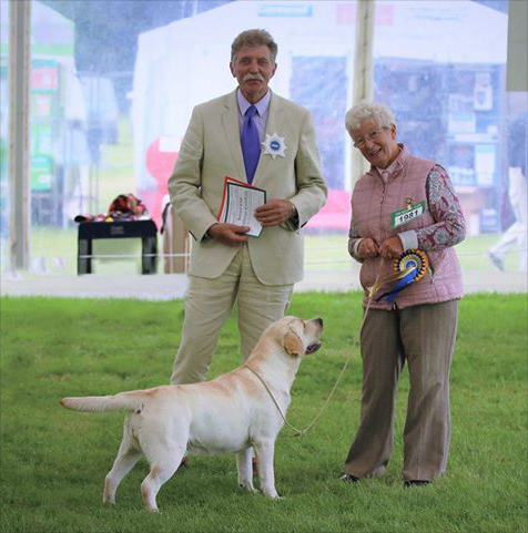 Welcome to the World Famous Labradors